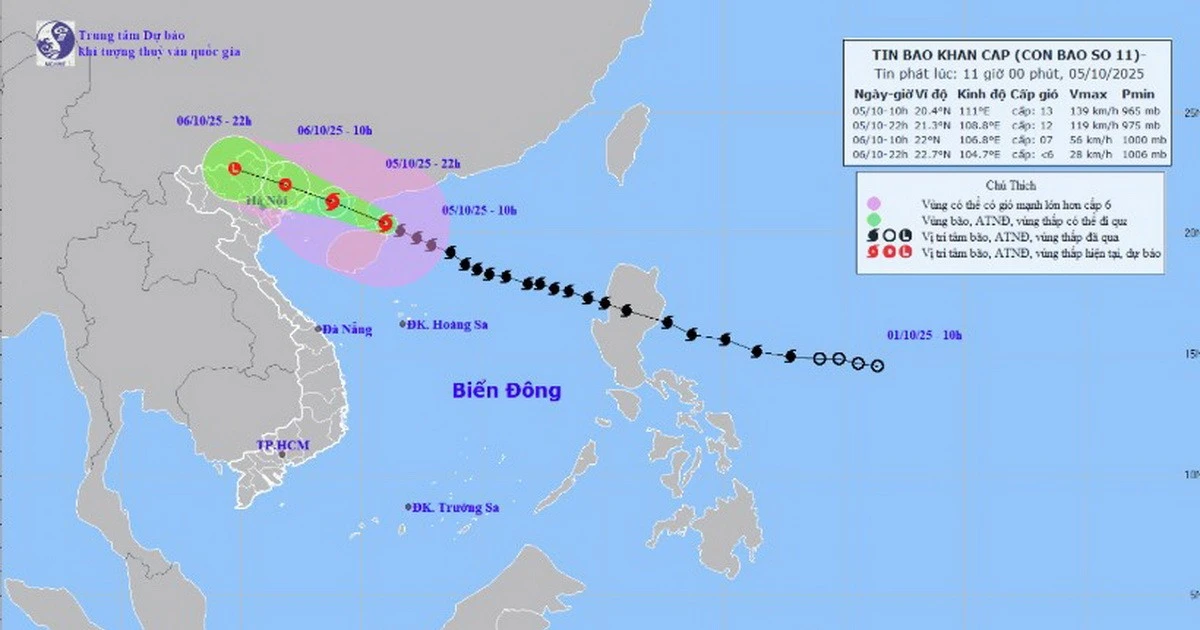 Bão số 11-Matmo mạnh cấp 13 đổ bộ Quảng Ninh đêm 5/10 | Vietnam+ ...