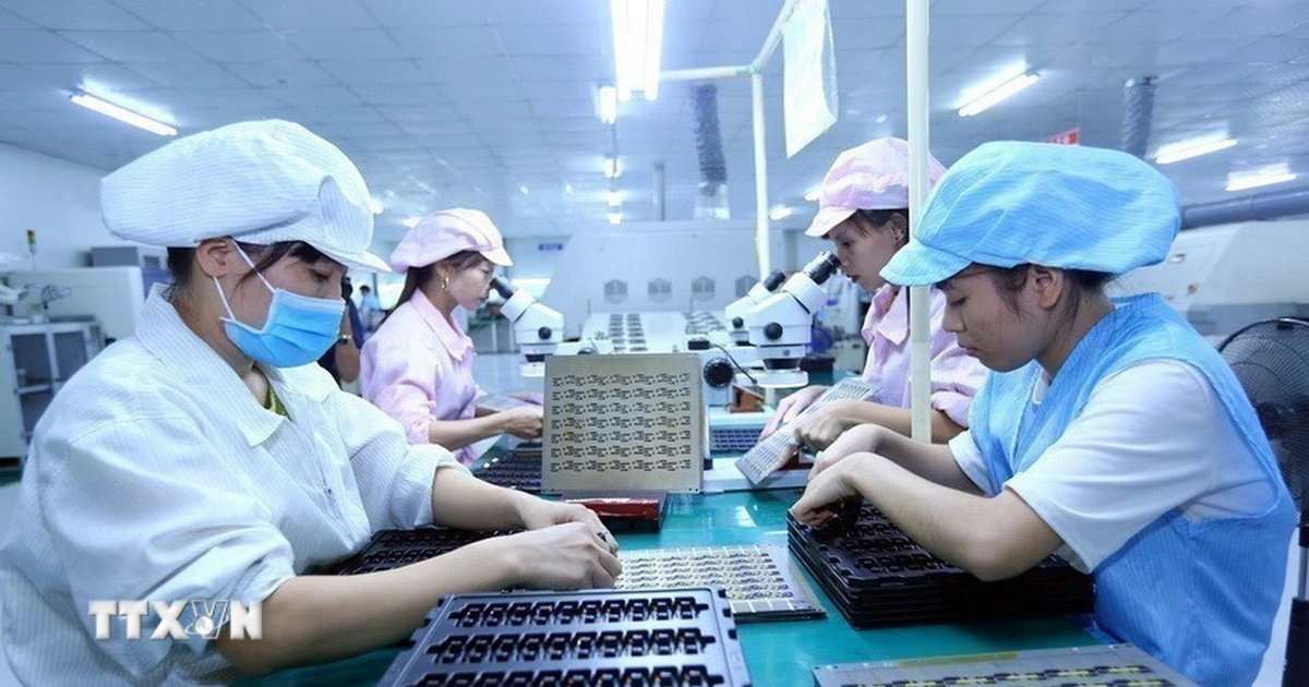 Kim ngạch xuất nhập khẩu Việt Nam-Singapore đạt kỷ lục 2025 | Vietnam+ ...