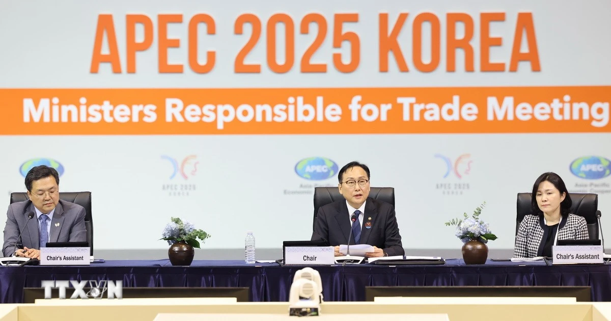 APEC Nhấn Mạnh Tầm Quan Trọng của WTO và Hợp Tác Toàn Cầu | Vietnam+ (VietnamPlus)