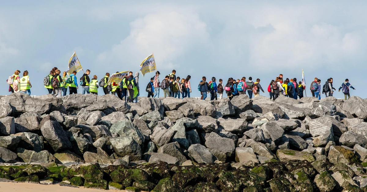 Hàn Quốc: Đổ rác ra bãi biển sạch để 'hưởng ứng' phong trào quốc tế ...