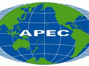 Phụ thuộc dầu nhập khẩu là nguy cơ lớn của APEC | Vietnam+ (VietnamPlus)