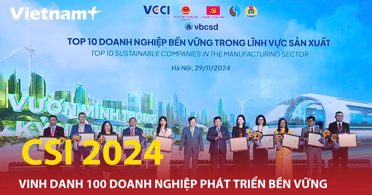 CSI 2024: Định hướng chiến lược phát triển bền vững cho doanh nghiệp Việt Nam | Vietnam+ ...