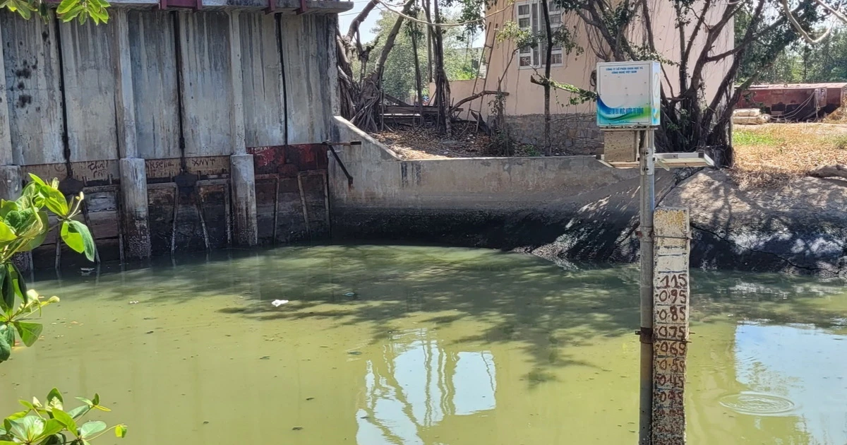 Vũng Tàu: Các nguồn xả thải trực tiếp đang "đầu độc" kênh Rạch Bà ...