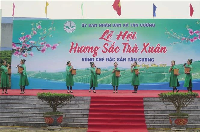 Thái Nguyên: Lan tỏa “Hương sắc trà Xuân - vùng chè đặc sản Tân Cương ...