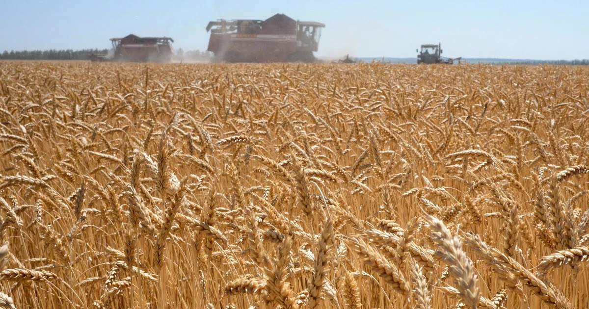 Kinh tế nông nghiệp Nga phát triển ngoạn mục trong 10 năm qua | Vietnam+ (VietnamPlus)