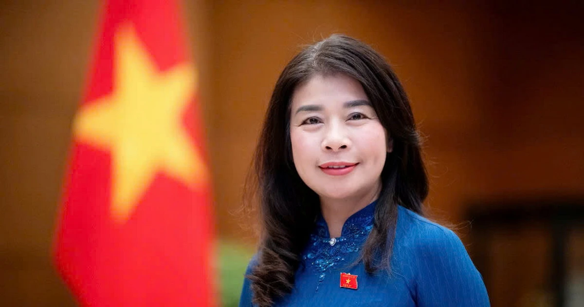 Quốc hội Việt Nam chủ động, tích cực, đóng góp trách nhiệm cho AIPA-45 | Vietnam+ (VietnamPlus)