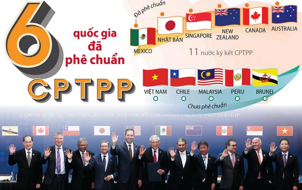 [Infographics] Sáu quốc gia đã phê chuẩn Hiệp định CPTPP | Vietnam+ (VietnamPlus)