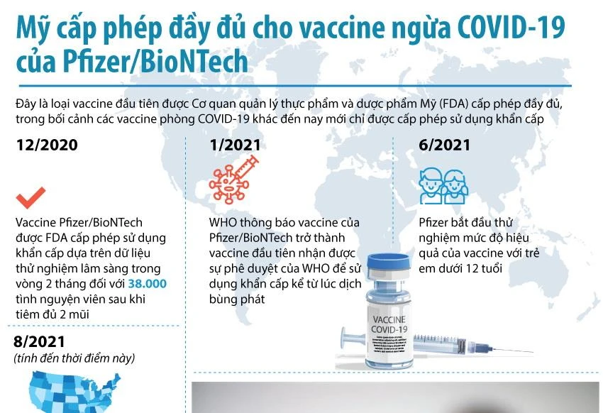 [Infographics] Mỹ cấp phép đầy đủ cho vaccine của Pfizer/BioNTech ...