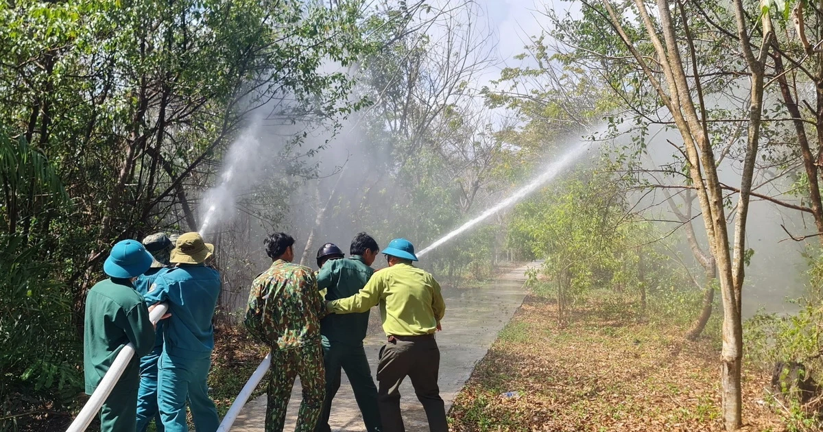 Nâng cảnh báo cháy rừng cấp cực kỳ nguy hiểm tại Vườn chim Bạc Liêu ...