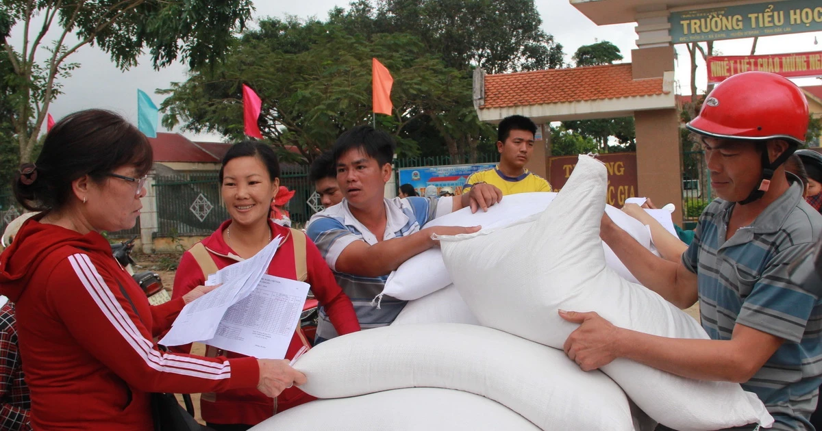 Đẩy mạnh ứng dụng công nghệ thông tin vào đấu thầu mua gạo dự trữ quốc ...