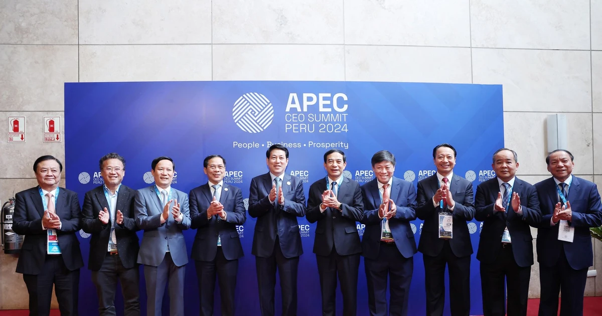 Chủ tịch nước phát biểu tại Hội nghị Thượng đỉnh Doanh nghiệp APEC - CEO Summit | Vietnam+ ...