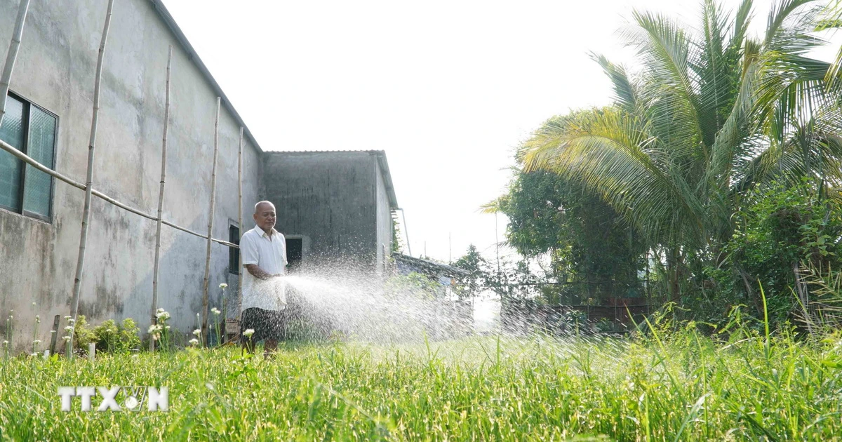 Thành phố Hồ Chí Minh lên kế hoạch tăng sản lượng vụ rau Tết | Vietnam+ ...