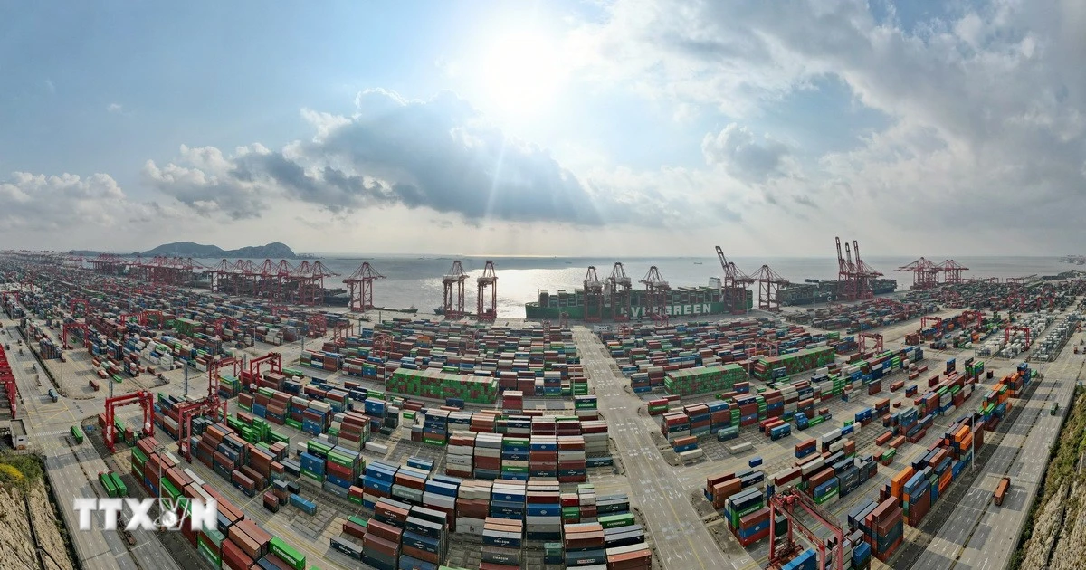 Việt Nam Đẩy Mạnh Kết Nối Thương Mại RCEP Thành Công | Vietnam+ (VietnamPlus)