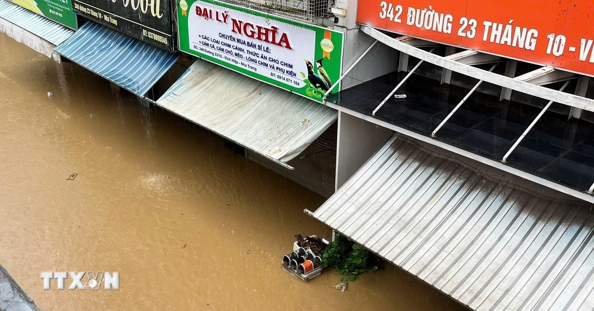 Khánh Hòa cảnh báo lũ khẩn cấp trên sông Dinh Ninh Hòa | Vietnam+ (VietnamPlus)