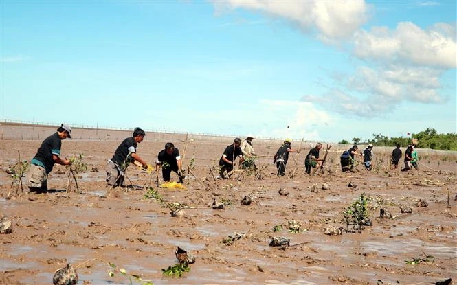 Từ nay đến 2025, Bộ TN-MT xây dựng 115 tiêu chuẩn kỹ thuật quốc gia | Vietnam+ (VietnamPlus)