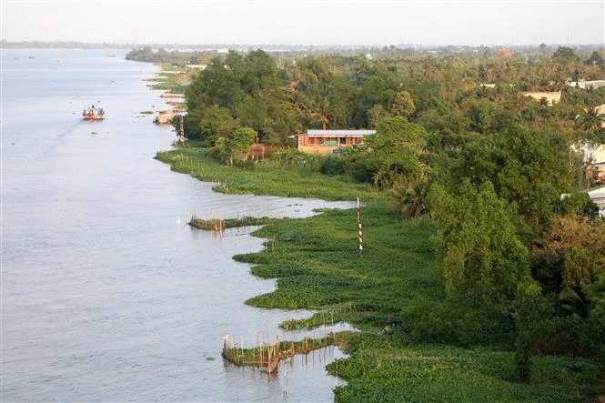 An Giang: Hủy kết quả đấu giá quyền khai thác mỏ cát trên sông Tiền ...