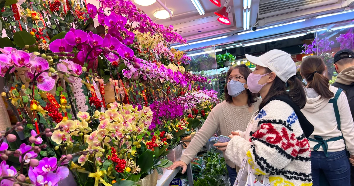 Chợ hoa Hong Kong khoe sắc Xuân, mang ước vọng Năm mới tốt lành ...