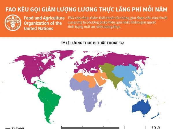 [Infographics] FAO kêu gọi giảm lượng lương thực lãng phí mỗi năm