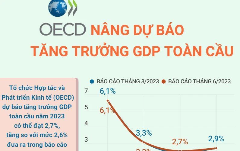 [Infographics] OECD nâng dự báo tăng trưởng GDP toàn cầu | Vietnam+ (VietnamPlus)