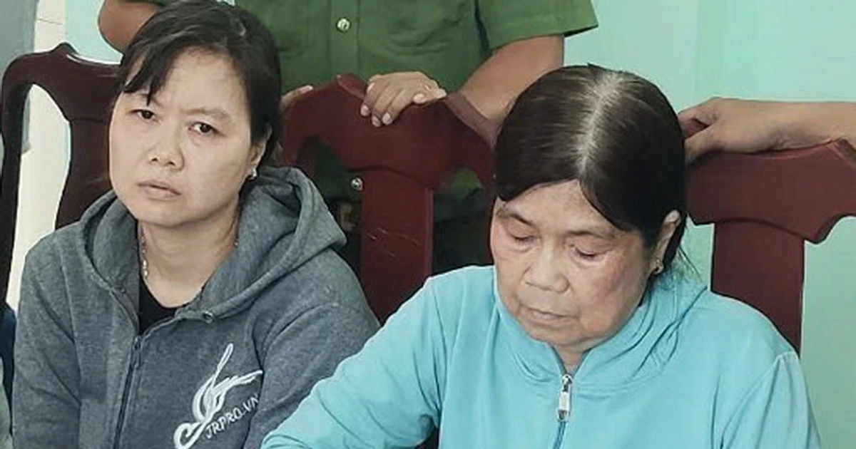 Kiên Giang: Khởi tố, tạm giam 2 đối tượng hoạt động lật đổ chính quyền nhân dân | Vietnam+ ...