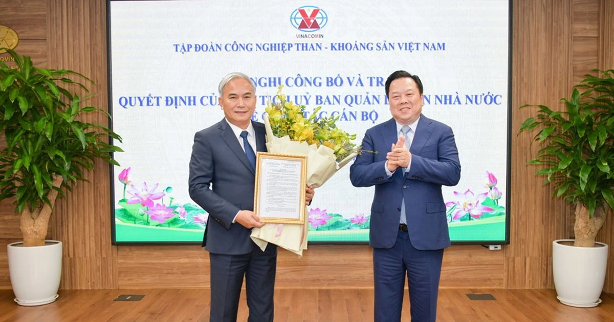 Ông Vũ Anh Tuấn được bổ nhiệm chức vụ Tổng Giám đốc Tập đoàn TKV | Vietnam+ (VietnamPlus)