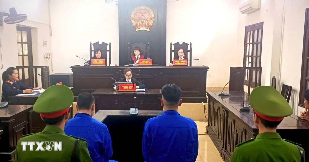 Sửa đổi Luật Luật sư: Đẩy mạnh phát triển nghề nghiệp và quản lý nhà nước