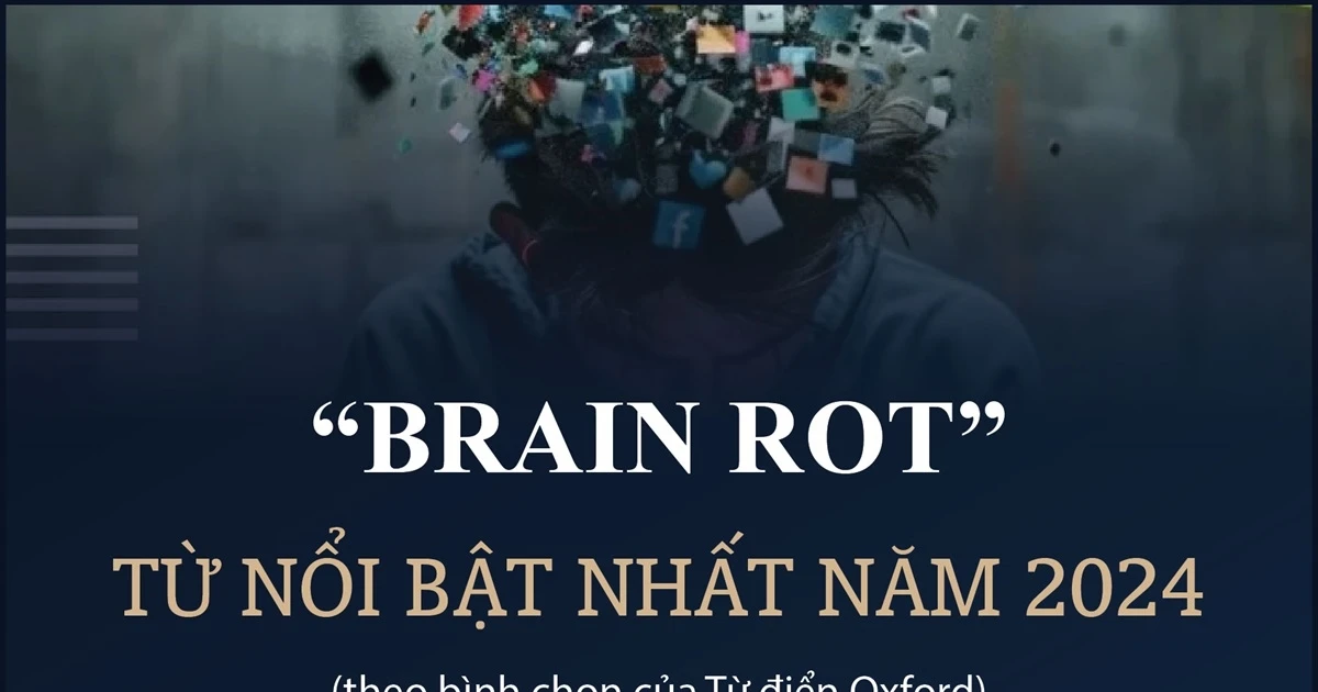 “Brain rot” - Từ nổi bật nhất năm 2024 | Vietnam+ (VietnamPlus)