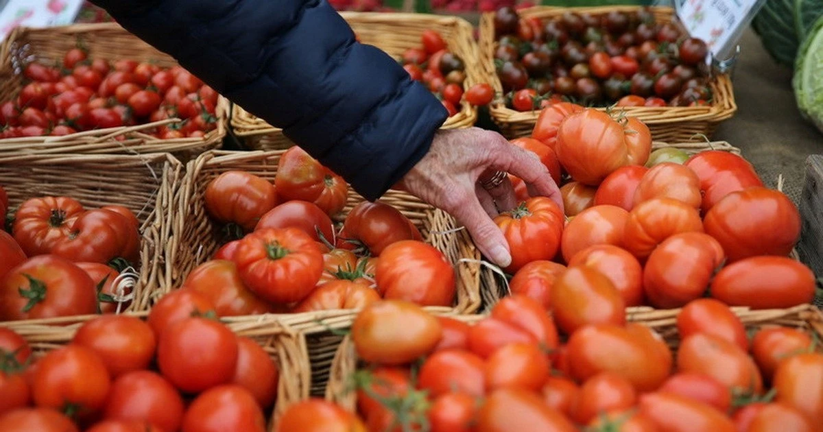 Nga phát hiện virus trên cà chua Maroc, tạm dừng nhập khẩu | Vietnam+ ...