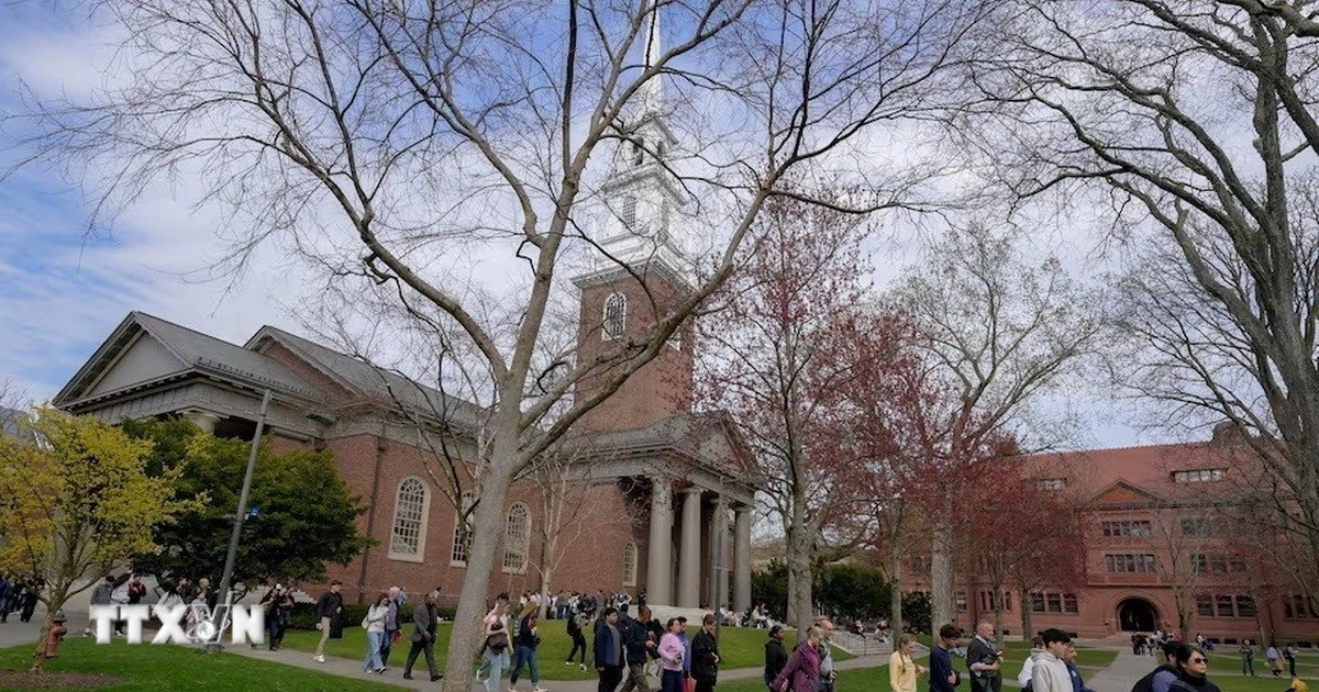 Biện pháp của Trump ảnh hưởng lớn đến Harvard và các trường Ivy League ...