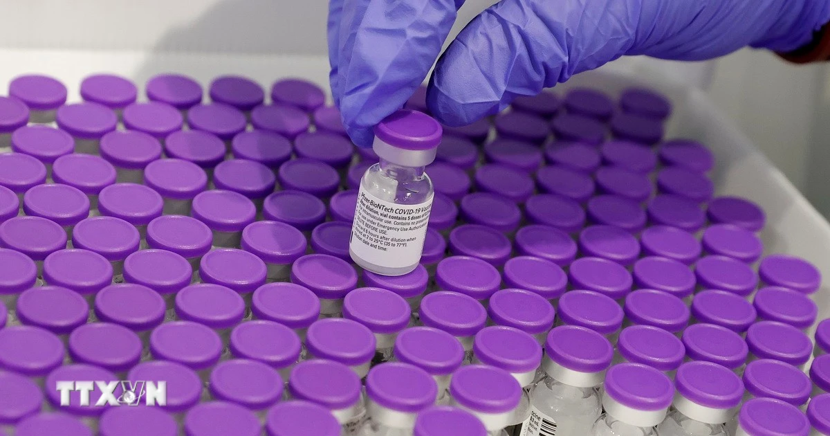 Tìm hiểu về vắcxin ngừa ung thư Enteromix của Nga | Vietnam+ (VietnamPlus)