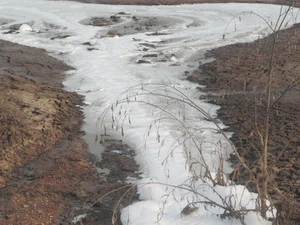 Pangrim Neotex xả thải vượt chuẩn ra sông Hồng | Vietnam+ (VietnamPlus)