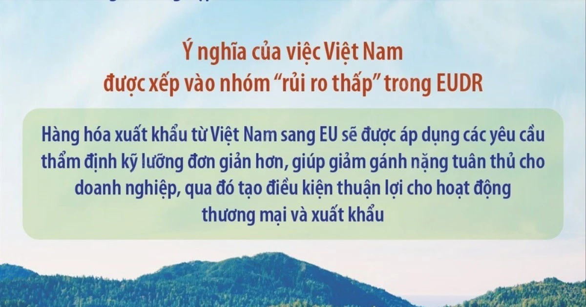 Việt Nam Được Xếp Nhóm Rủi Ro Thấp Trong Quy Định Chống Phá Rừng EU ...