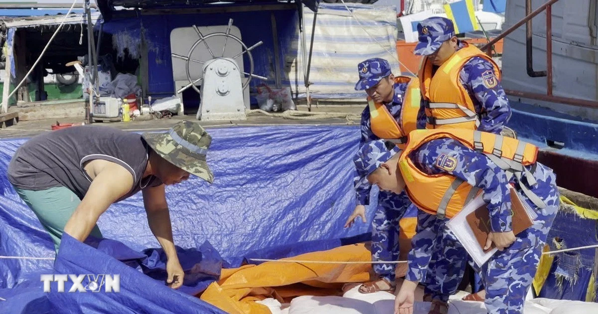 Tàu vận chuyển trái phép trên 10 tấn đường cát bị bắt giữ | Vietnam+ ...