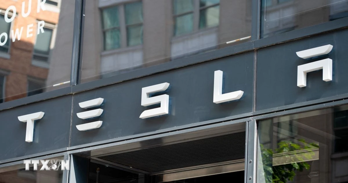 Tesla mất phong độ tại thị trường EU trong năm 2025 | Vietnam+ ...