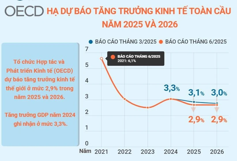 OECD Dự Báo Tăng Trưởng Kinh Tế Toàn Cầu 2,9% Năm 2025-2026 | Vietnam+ (VietnamPlus)