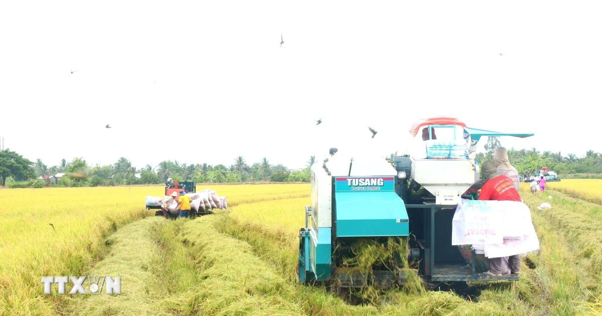 FAO ghi nhận tiến bộ của Việt Nam trong nông nghiệp bền vững và giảm ...