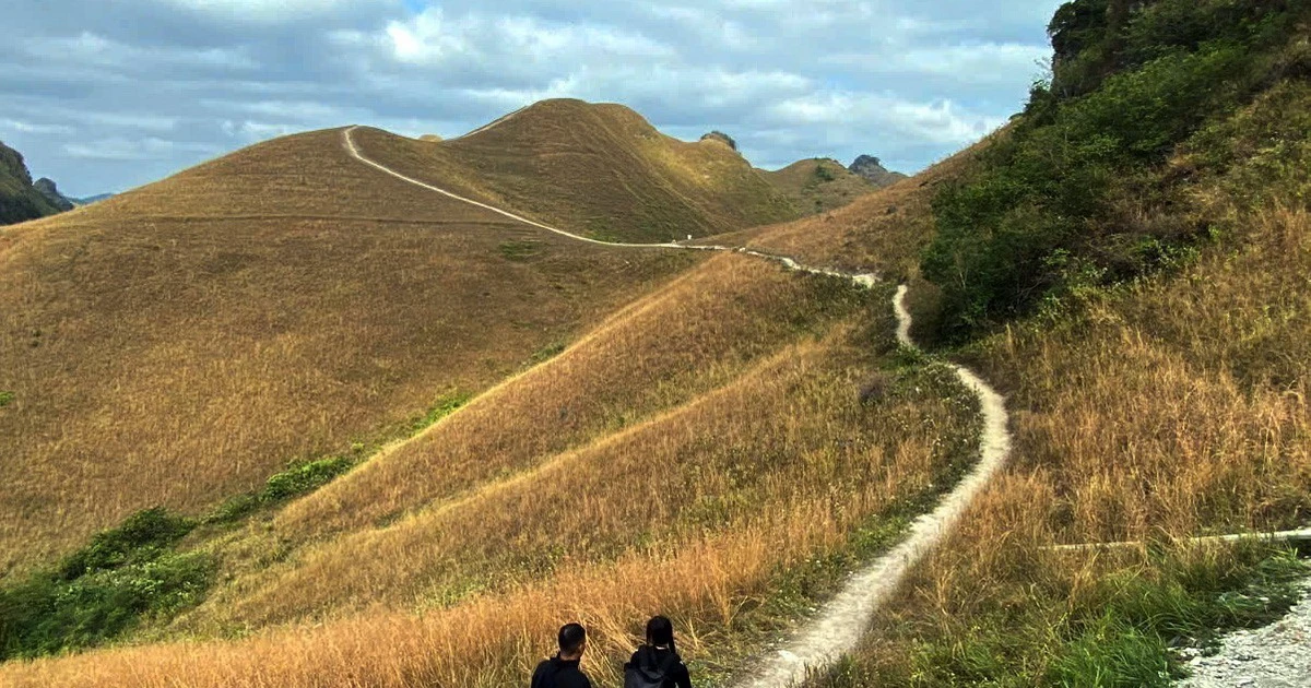 Đồi cỏ Ba Quáng đẹp như phim cổ tích ở Cao Bằng | Vietnam+ (VietnamPlus)