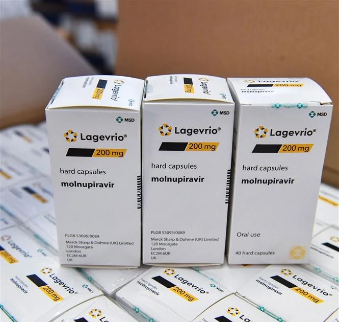 Hãng Merck dự báo giảm mạnh doanh thu từ thuốc chữa COVID-19 | Vietnam+ ...