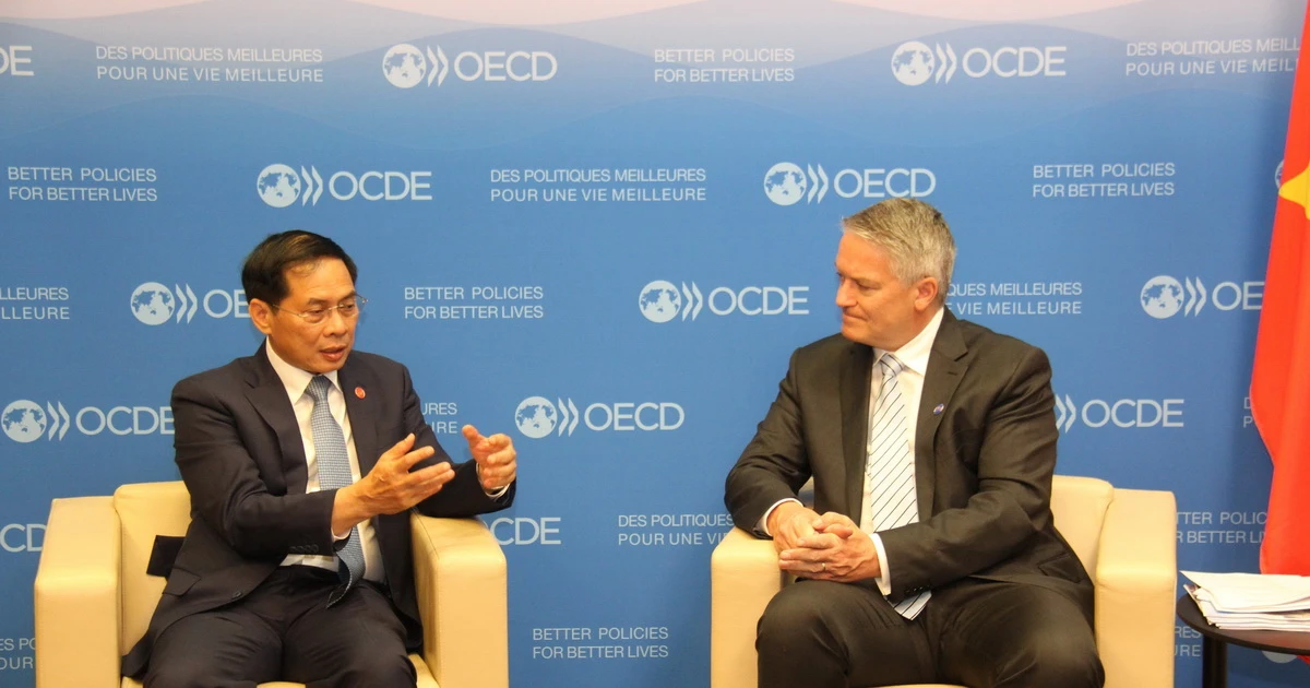 OECD đánh giá cao Việt Nam trong vai trò Đồng Chủ trì Chương trình Đông Nam Á | Vietnam+ ...
