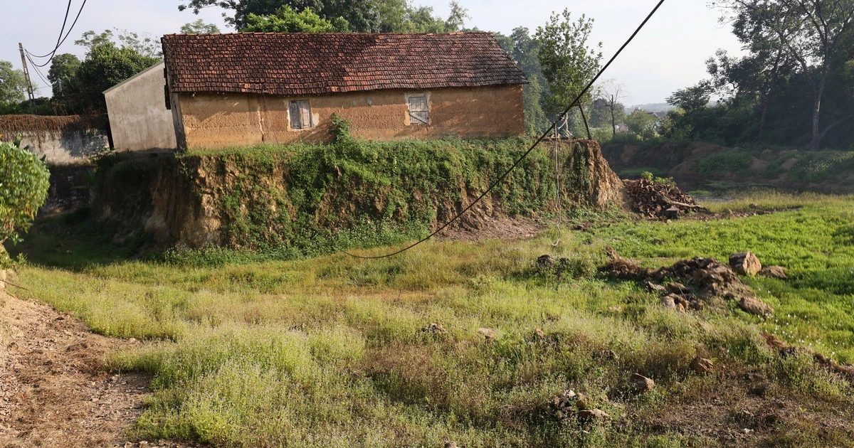 Hà Nội: Cần khắc phục sai phạm trong dồn điền đổi thửa tại huyện Ba Vì ...
