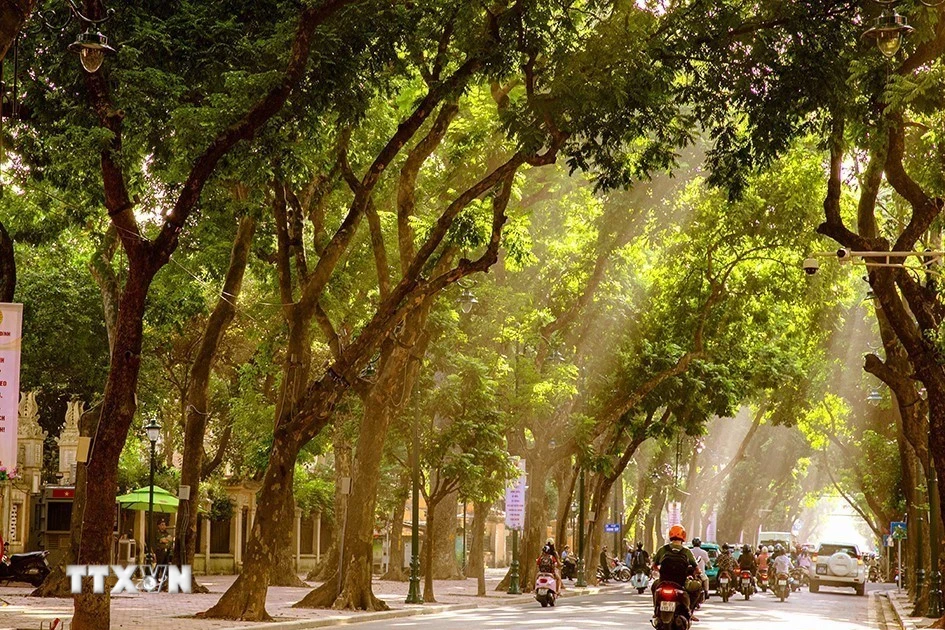 Mùa Thu - nét đẹp đặc trưng đầy quyến rũ của Hà Nội | Vietnam+ ...