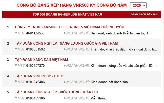 Công bố Bảng xếp hạng VNR500 - Top500 Doanh nghiệp lớn nhất Việt Nam năm 2025 | Vietnam+ ...