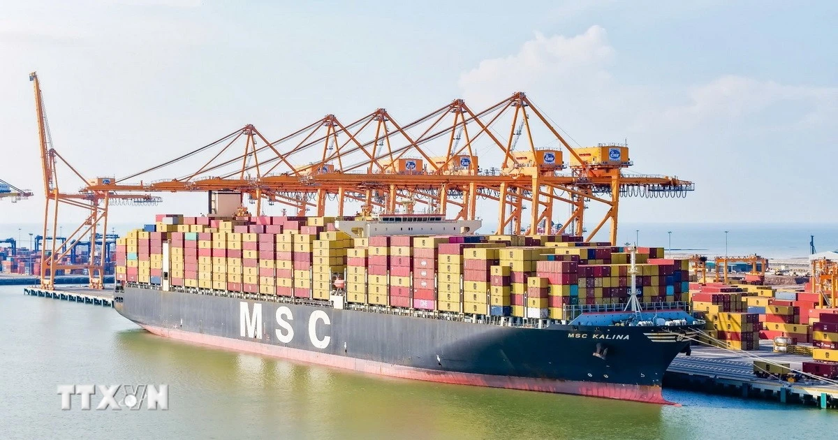 Cảng Hải Phòng Tiếp Nhận Tàu Container Lớn Nhất MSC Kalina | Vietnam+ ...