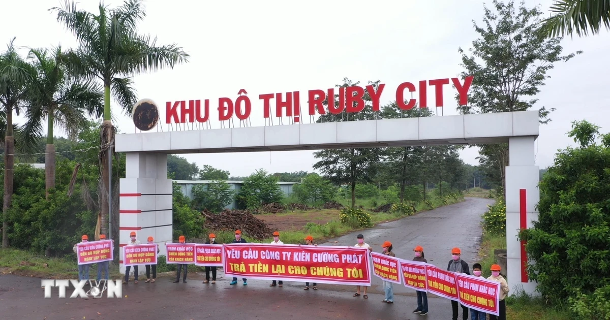 Người dân Bình Phước kêu cứu vì đất trên giấy | Vietnam+ (VietnamPlus)