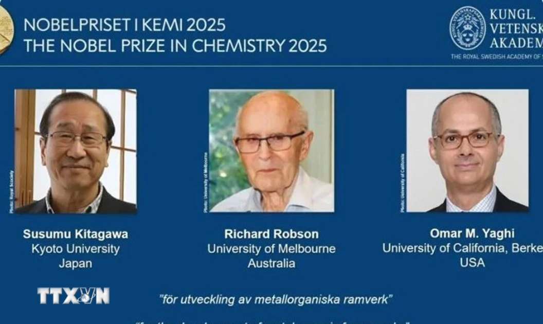 Nobel 2025: Cấu trúc phân tử giúp giải quyết thách thức lớn nhất của ...