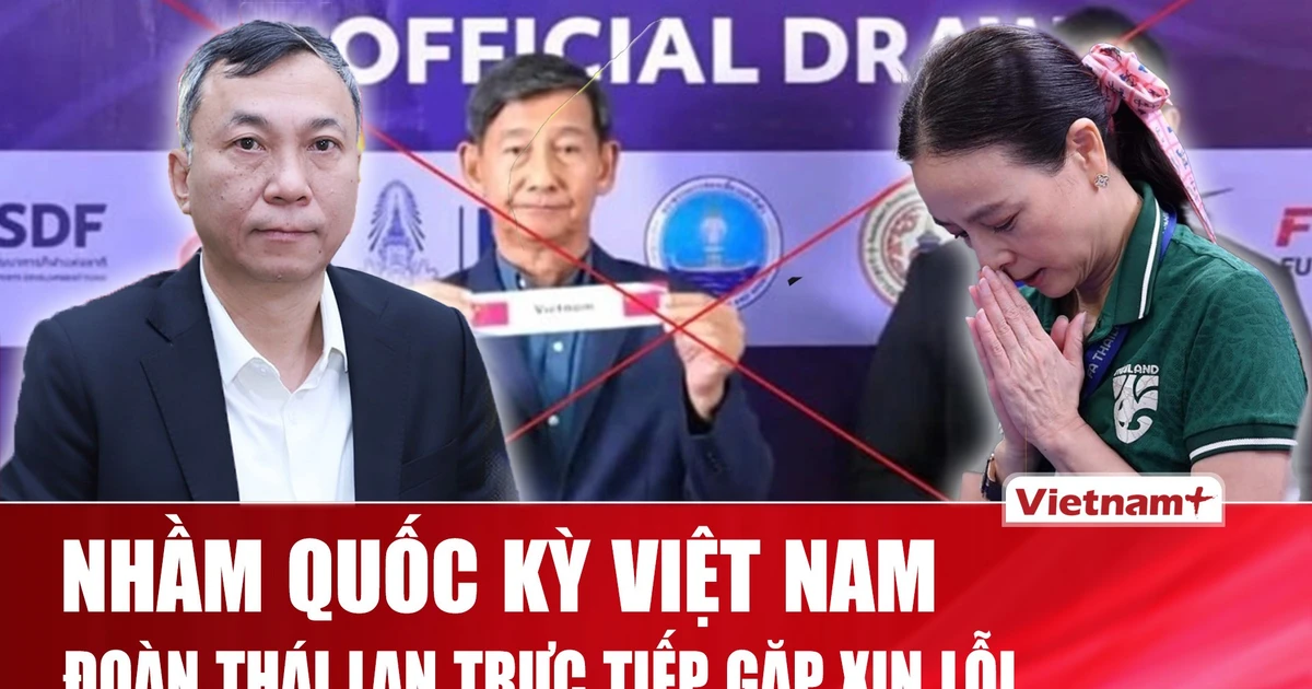 Phó Chủ tịch FAT xin lỗi về nhầm lẫn Quốc kỳ tại VFF | Vietnam+ ...