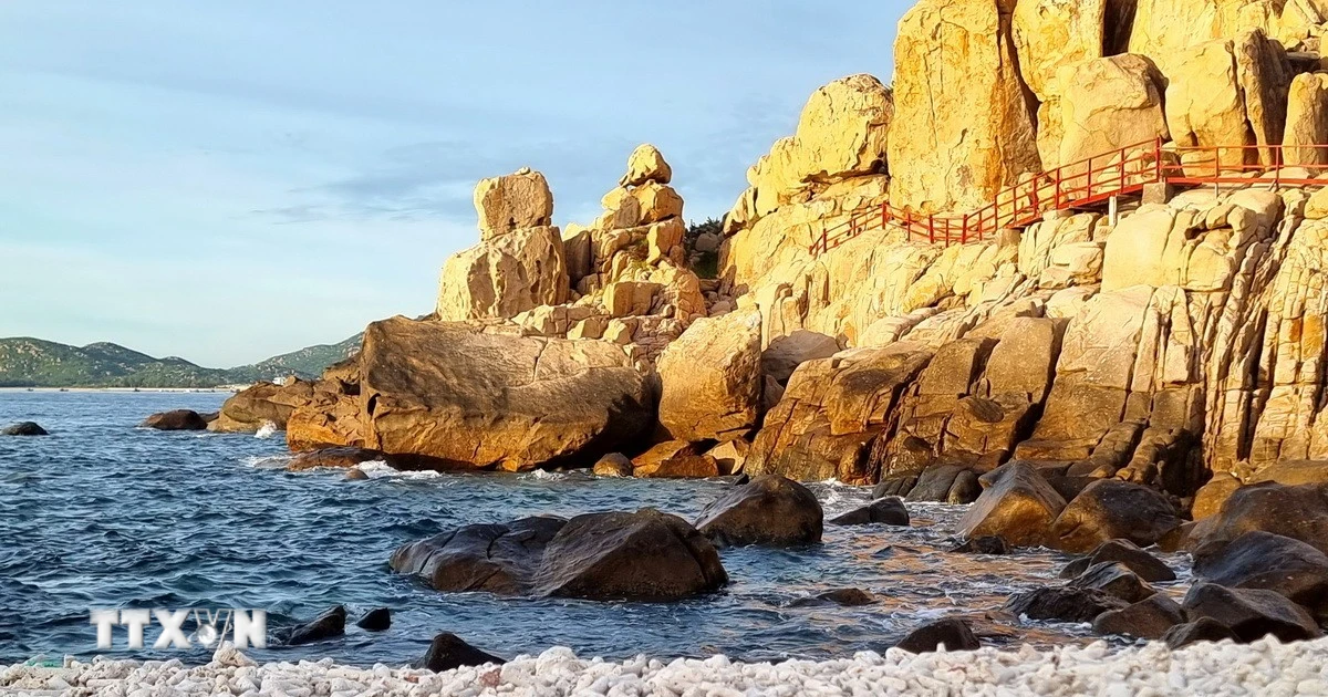 Khám Phá Bãi Đá San Hô Cổ Hóa Thạch Độc Đáo Tại Hang Rái | Vietnam+ ...