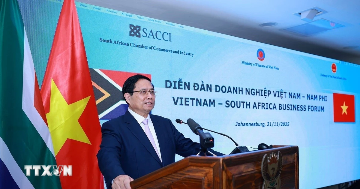 Quan hệ Việt Nam - Nam Phi: Đẩy mạnh hợp tác kinh tế và đầu tư ...
