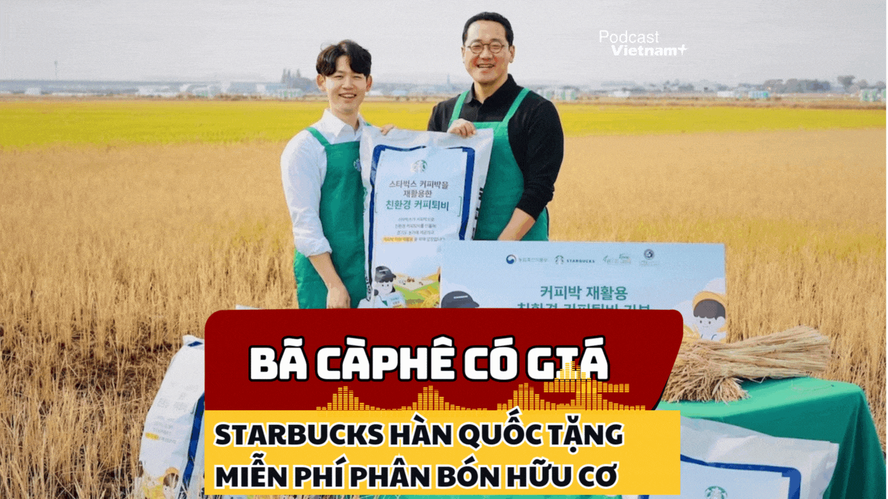 Starbucks Hàn Quốc biến bã cà phê thành phân bón hỗ trợ nông dân trẻ ...