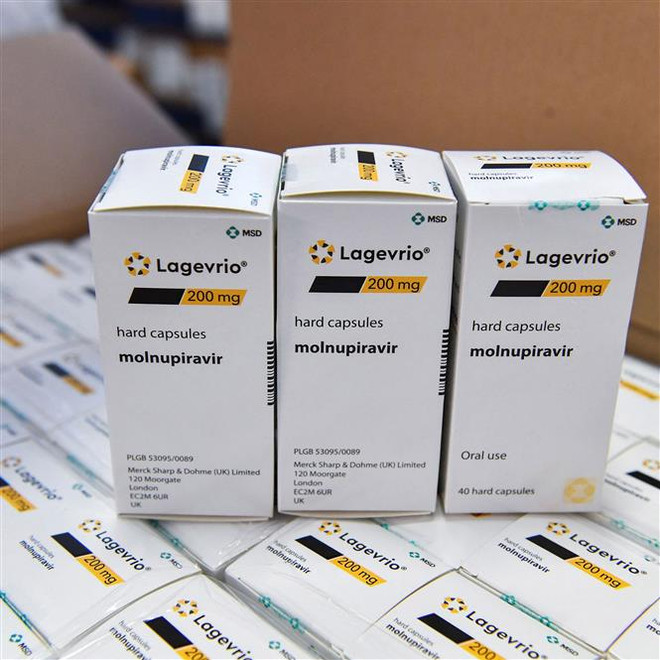 Hãng Merck dự báo giảm mạnh doanh thu từ thuốc chữa COVID-19 | Vietnam+ ...